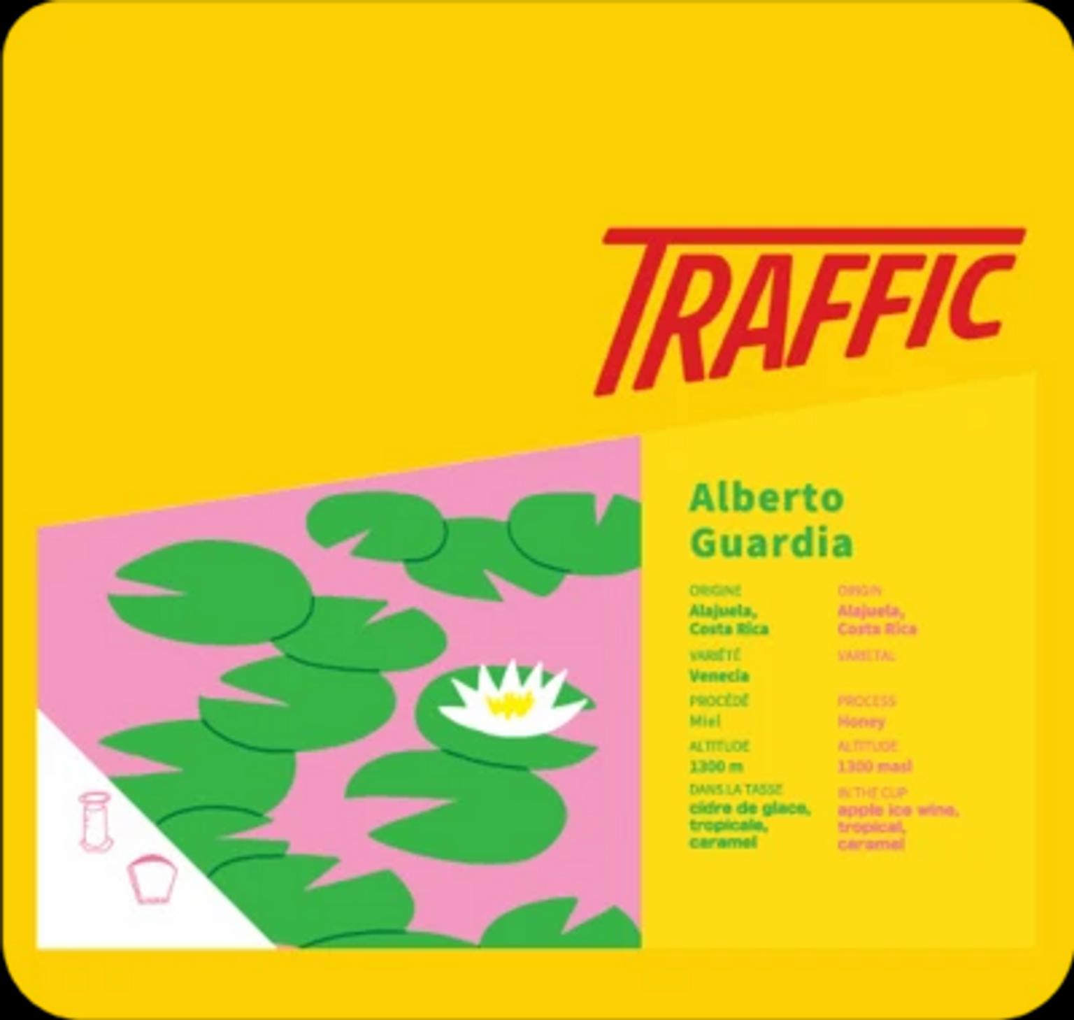 Alberto Guardia | Th3rdwave