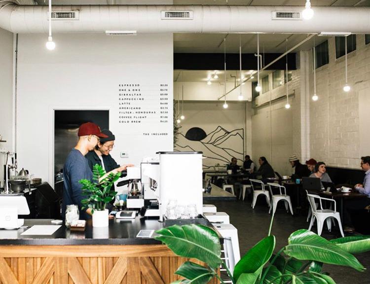 Horizon Line Coffee | Th3rdwave