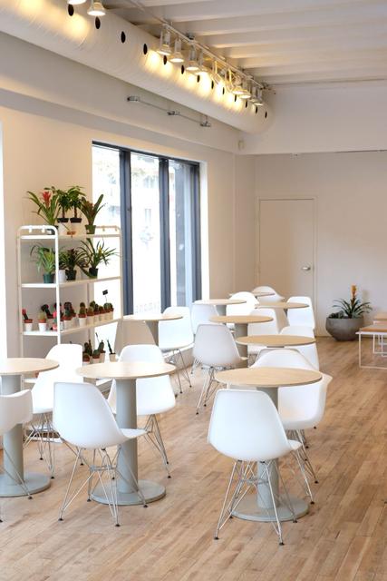 The Best Cafés to Study for Finals | Th3rdwave