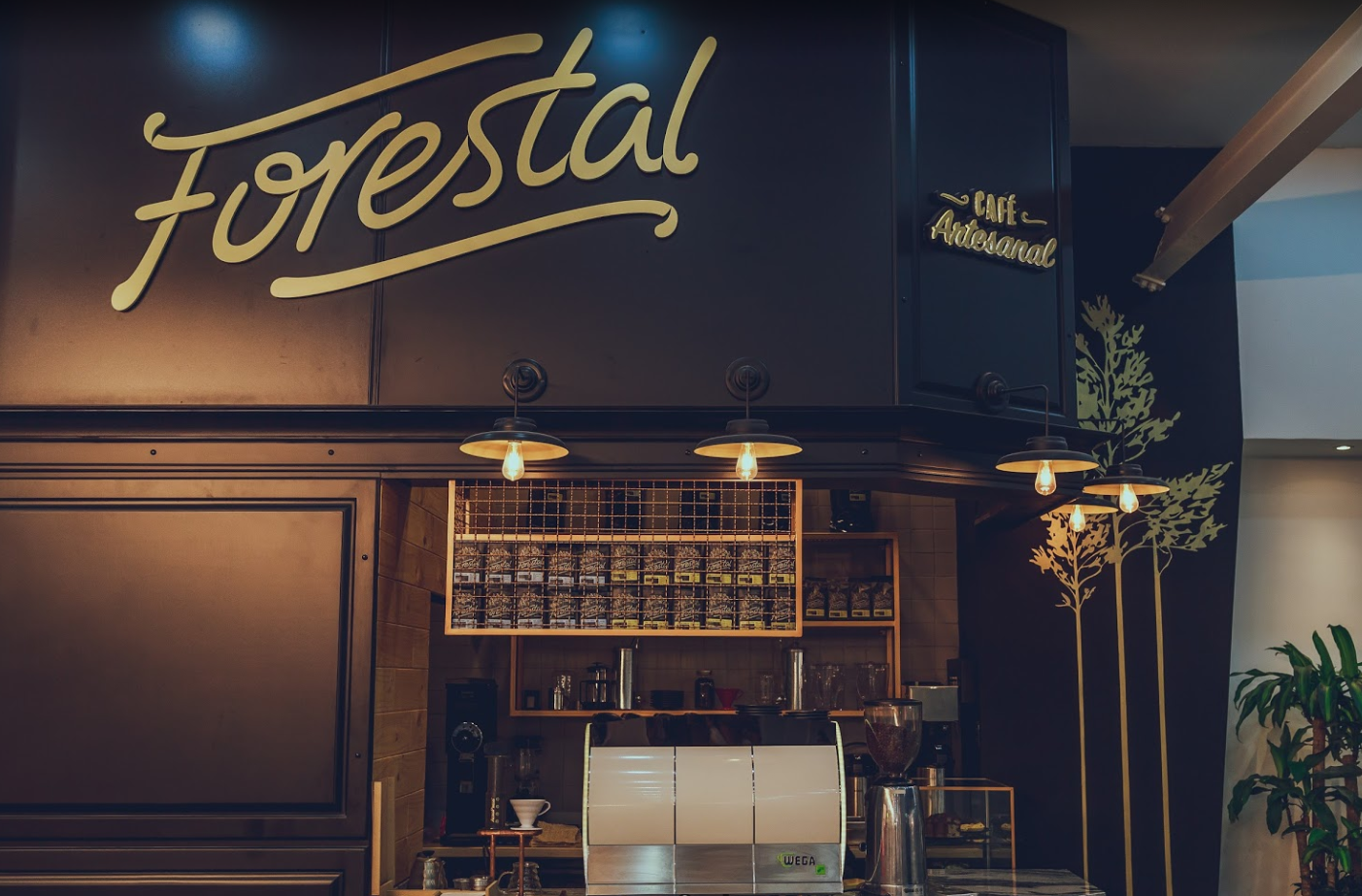 Café Forestal | Th3rdwave