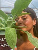 Café Péché | Th3rdwave Montréal