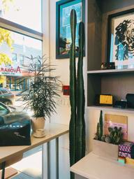 The Standard | Mile End | Th3rdwave Montréal