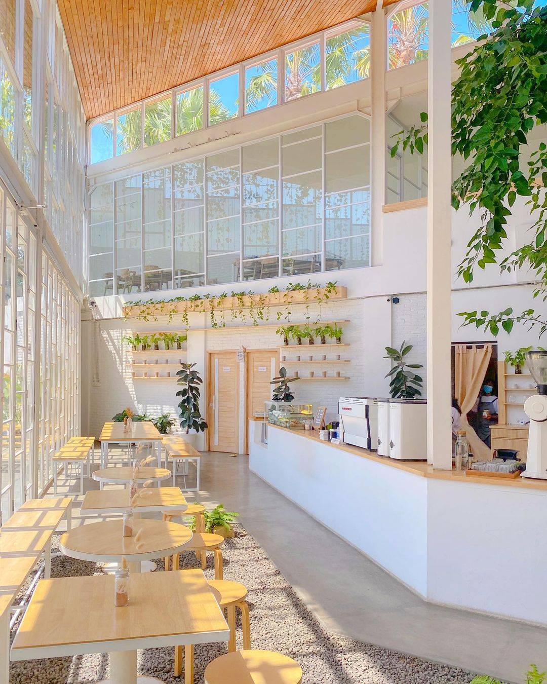 Miel Coffee | Th3rdwave