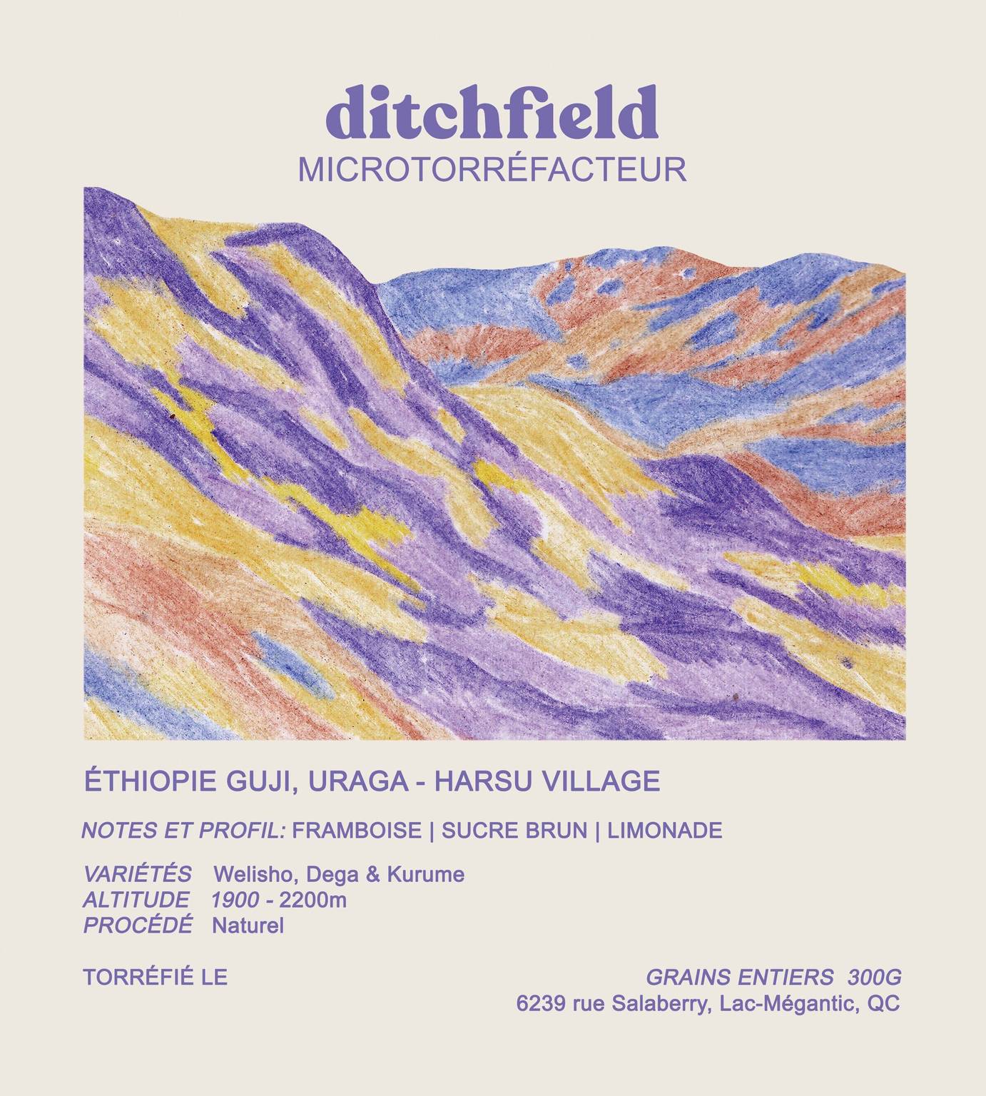 Harsu Village | Th3rdwave