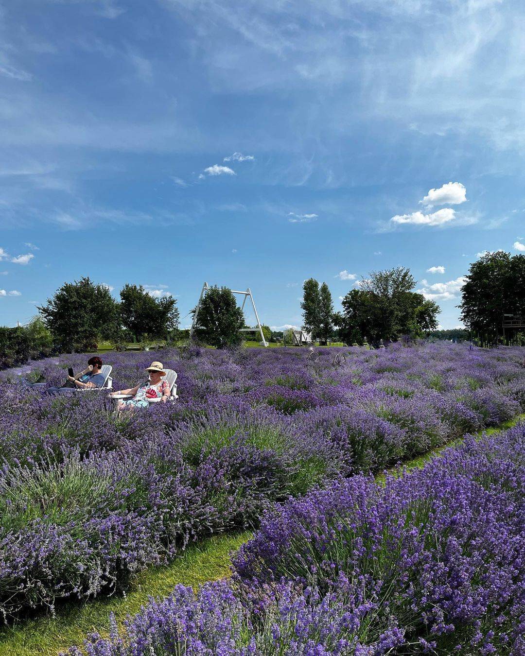 La Maison Lavande | Th3rdwave Rive-Nord