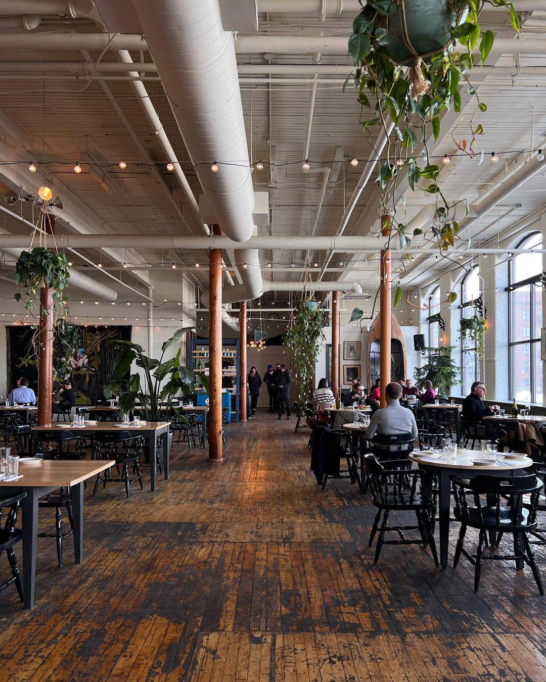 Mckiernan | Th3rdwave Montréal