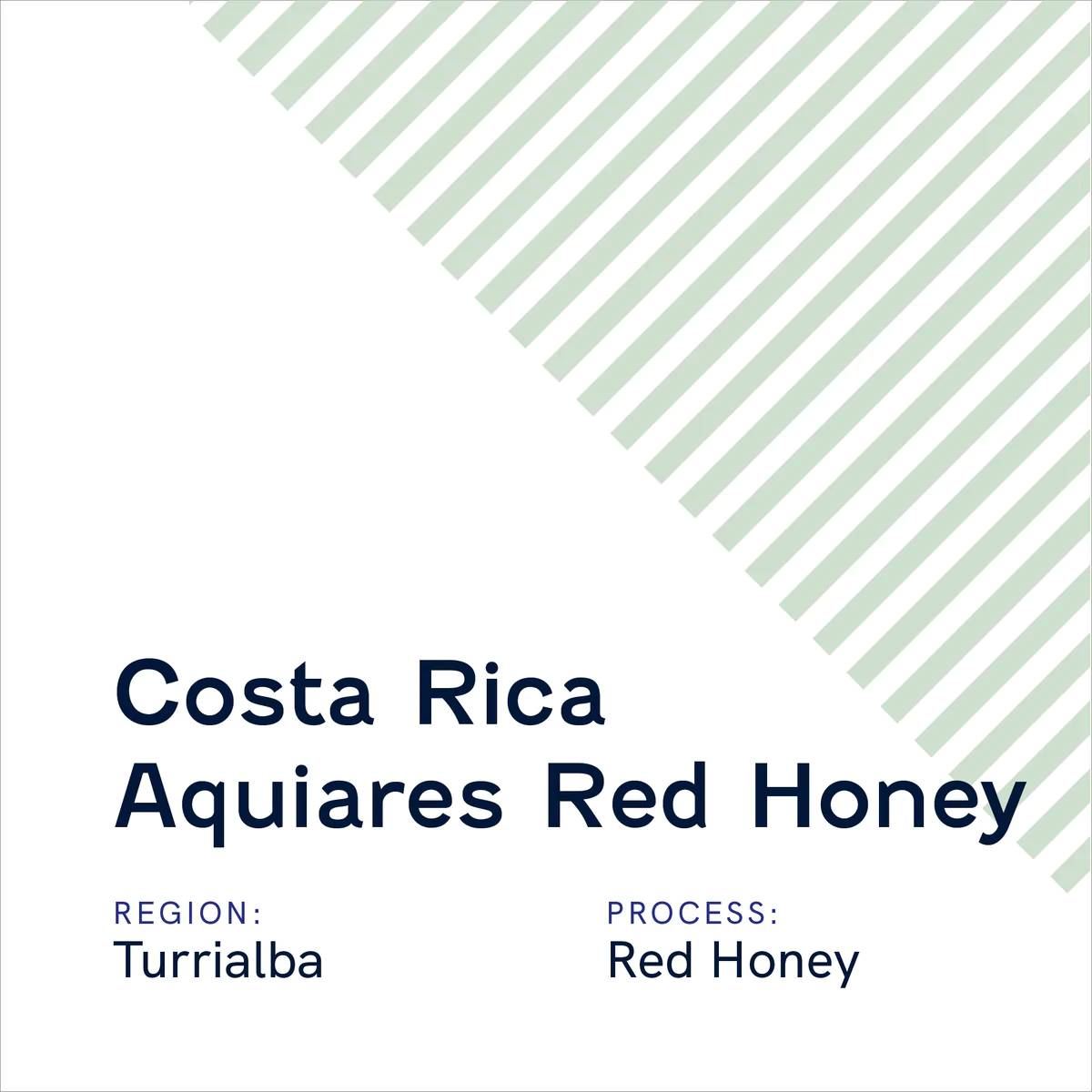 Acquiares Red Honey | Th3rdwave