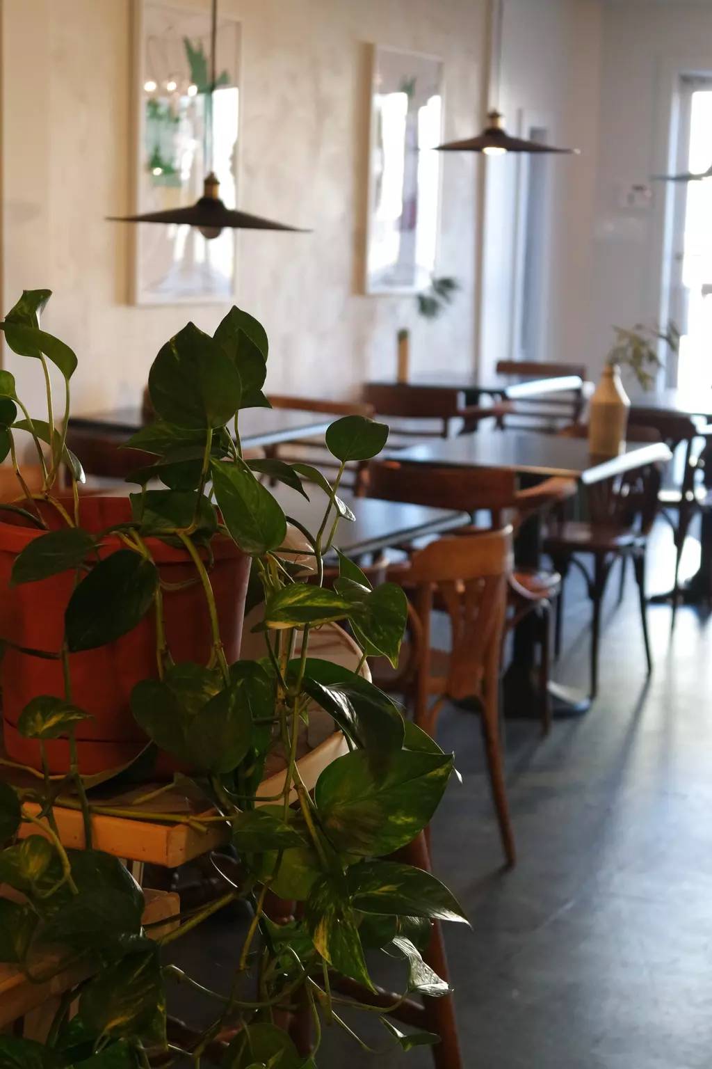 Oui Oui Café | Th3rdwave Québec