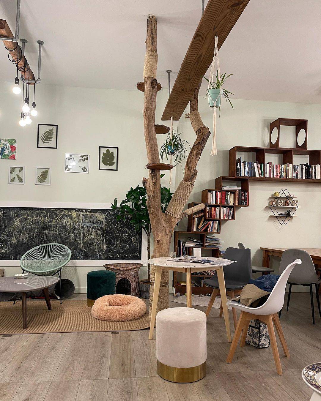 Café Chato | Th3rdwave Montréal