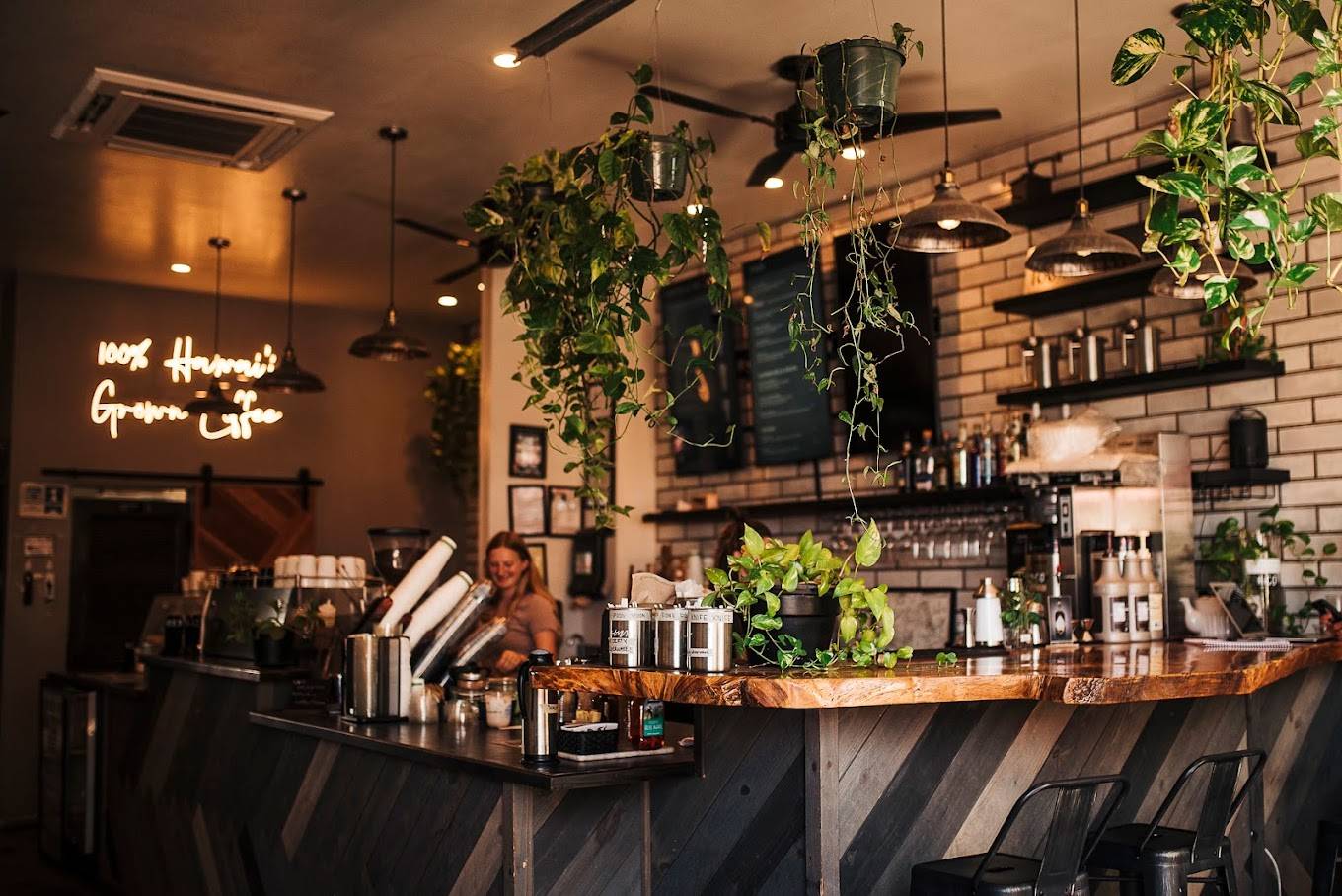 HiCO-Hawaiian Coffee | Th3rdwave