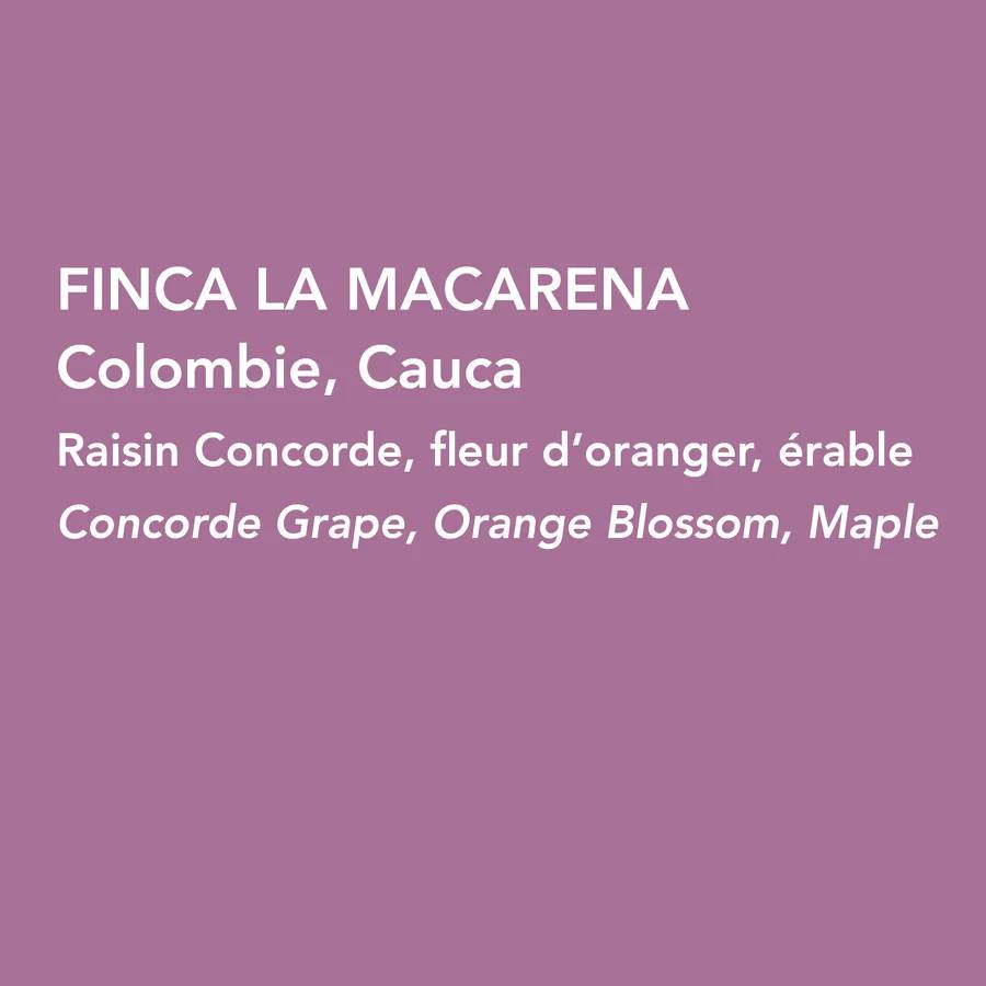 Finca La Macarena | Th3rdwave