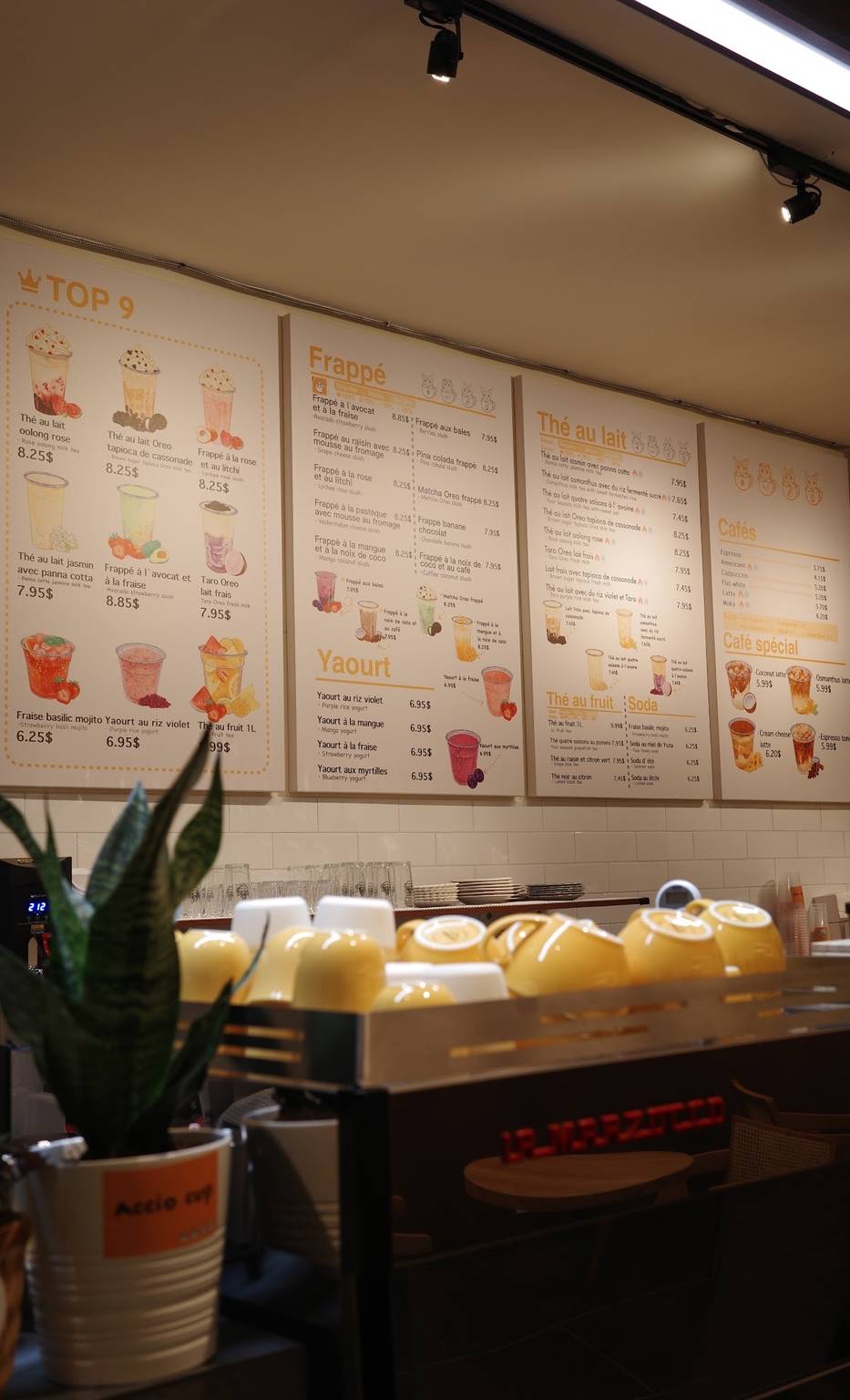 Accio cup | Th3rdwave Montréal