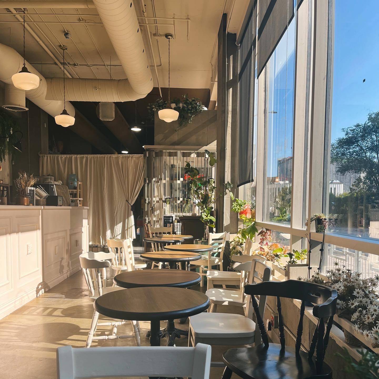 Café Rì Yuè | Th3rdwave Montréal