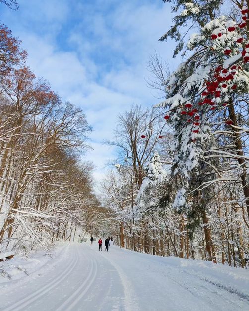 Best cafes around Mount Royal Park | Th3rdwave