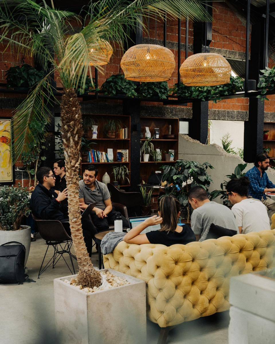 Café Entre Volcanes | Th3rdwave Guatemala