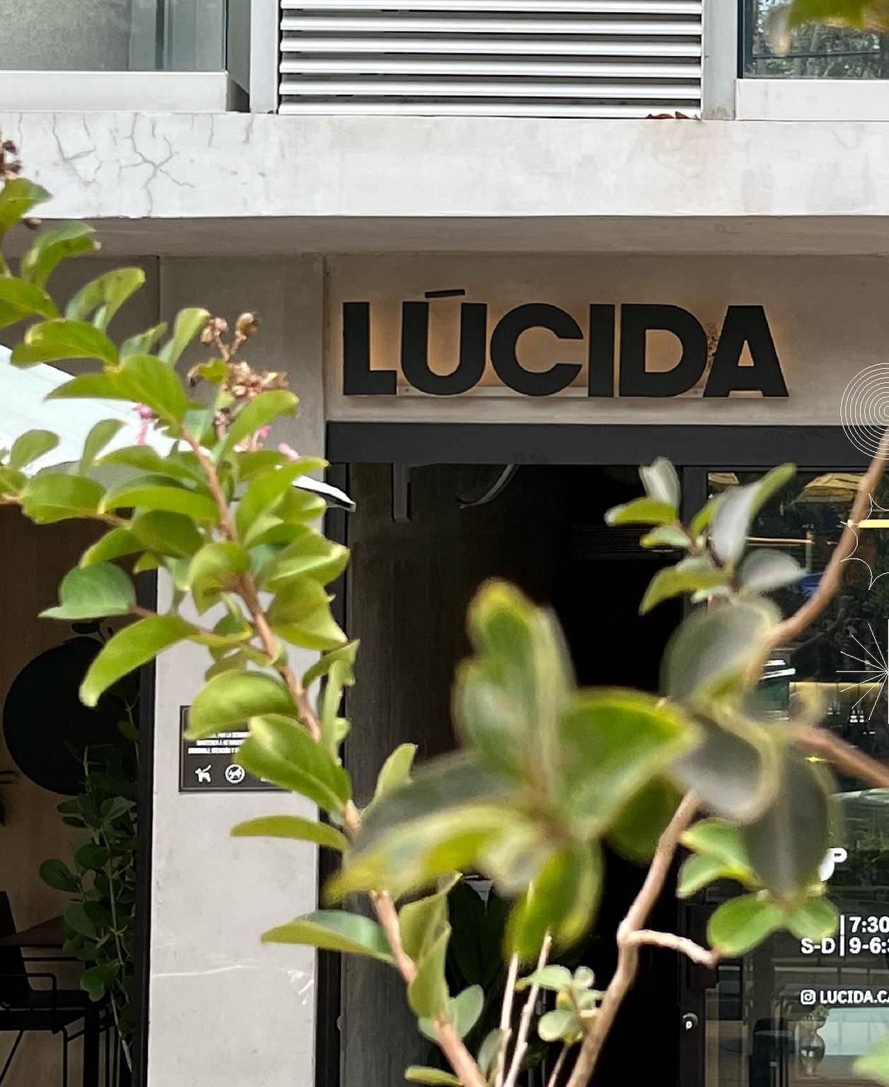 Lúcida Cafetería | Th3rdwave