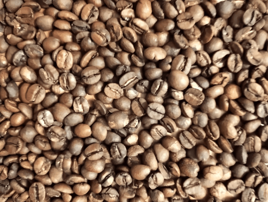 Eldorado de Ibiraci | Th3rdwave