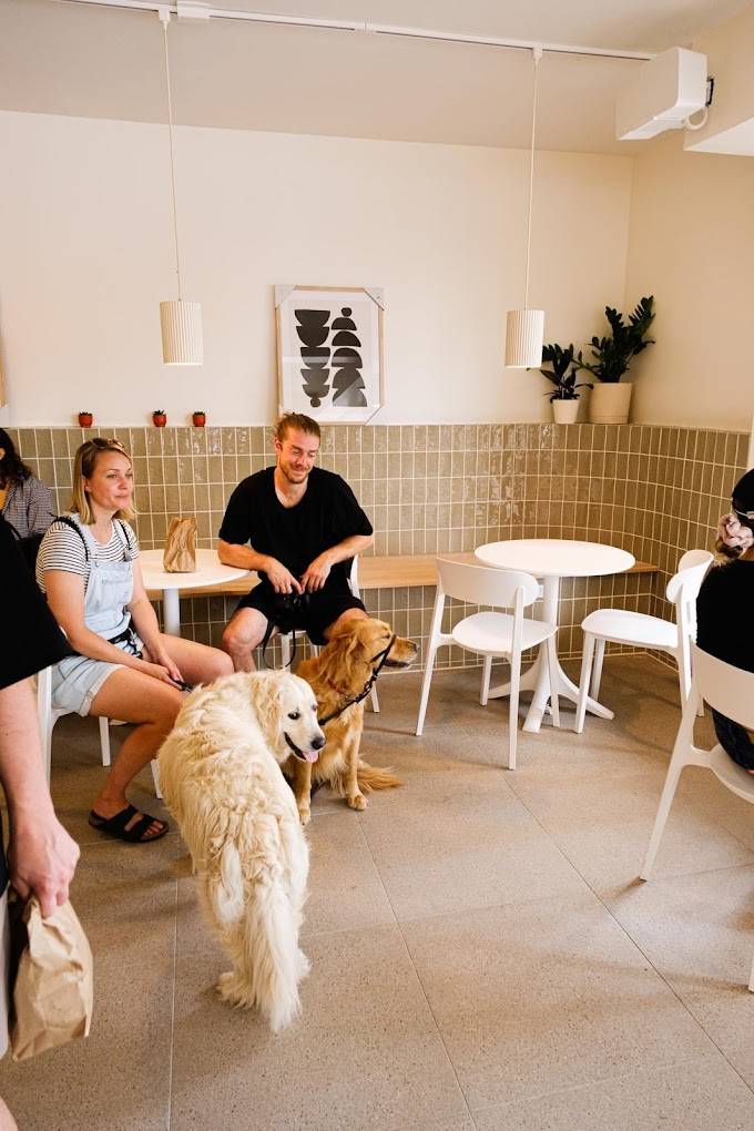 Franky Johnny x Cantook | Limoilou | Th3rdwave Québec