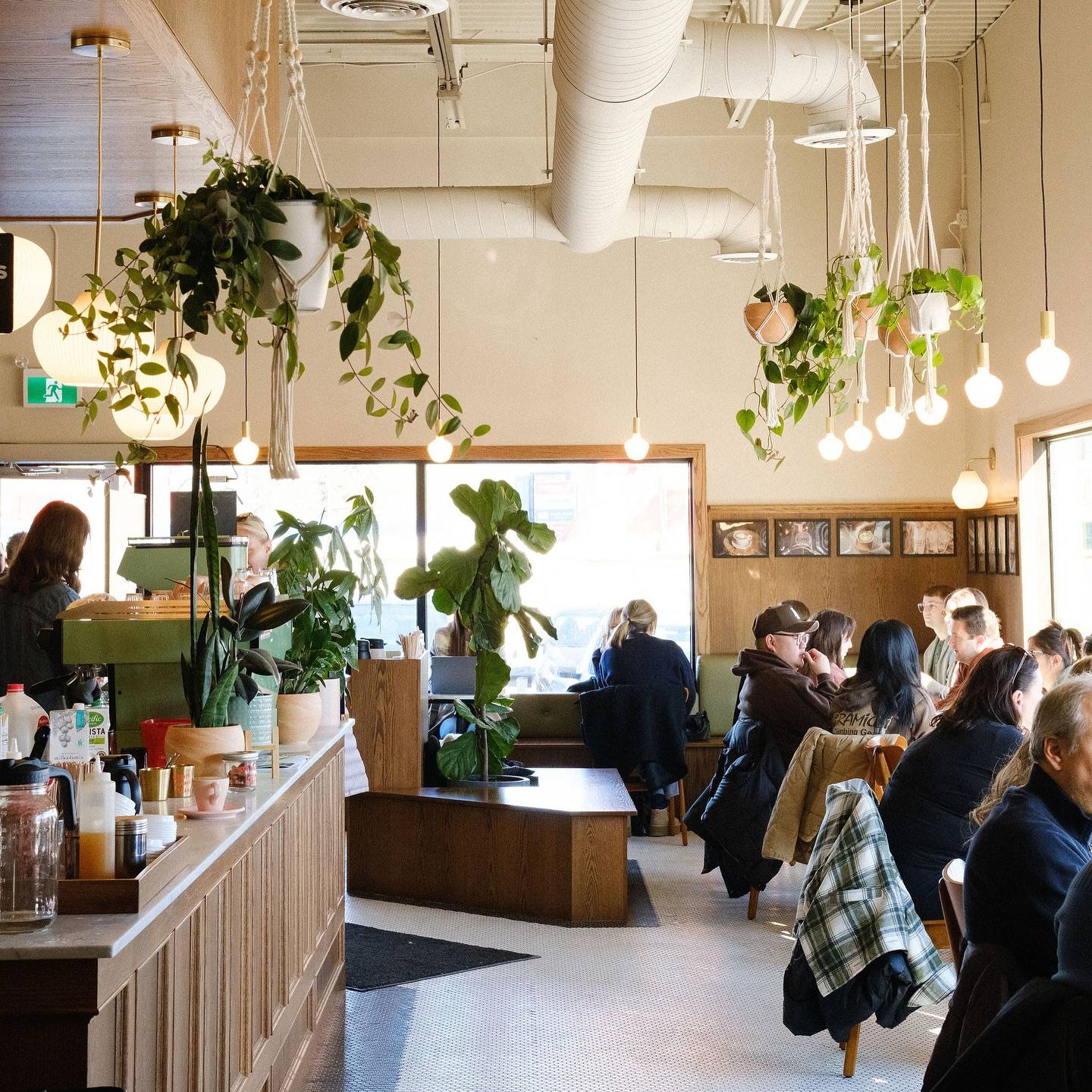 Thom Bargen coffee roasters | Th3rdwave Winnipeg