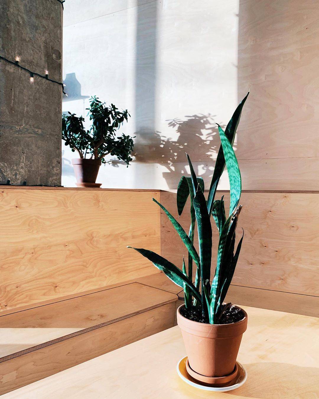 Push X Pull Coffee | Th3rdwave