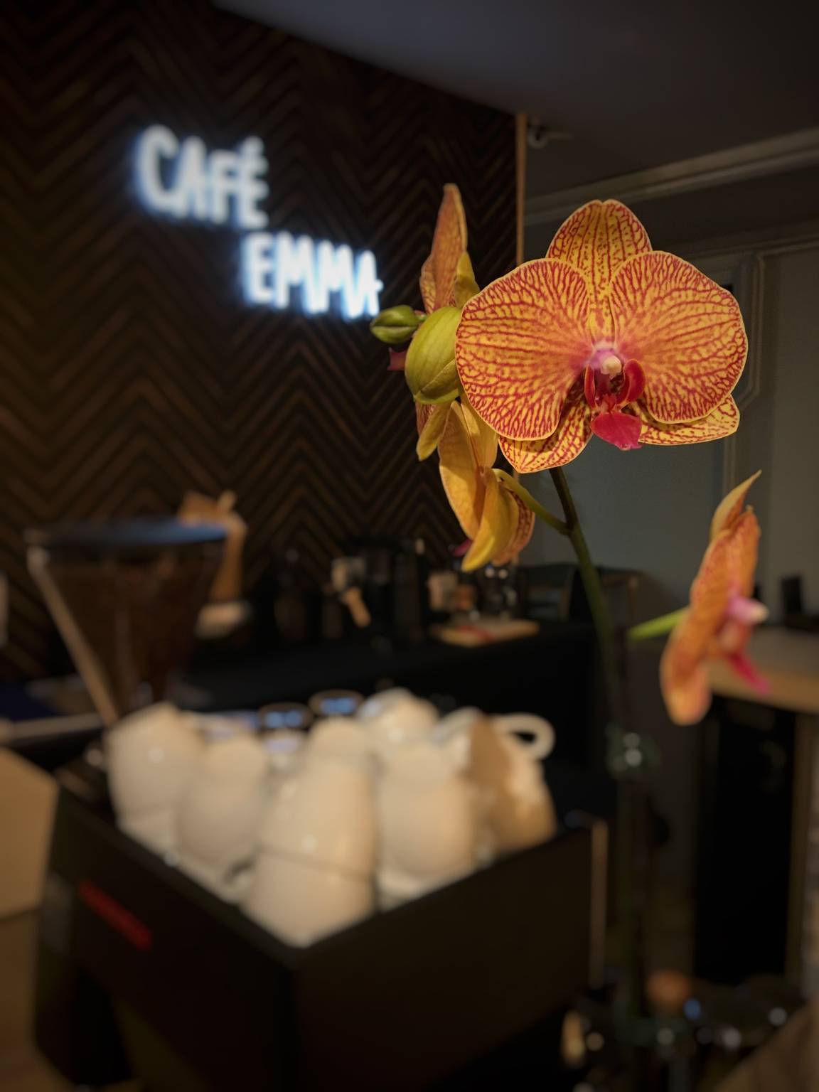 Café Emma | Th3rdwave