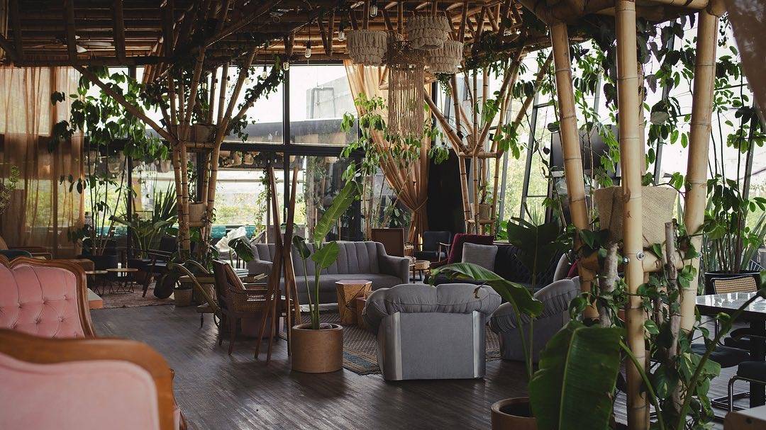 Haab Project Condesa | Th3rdwave Mexico City