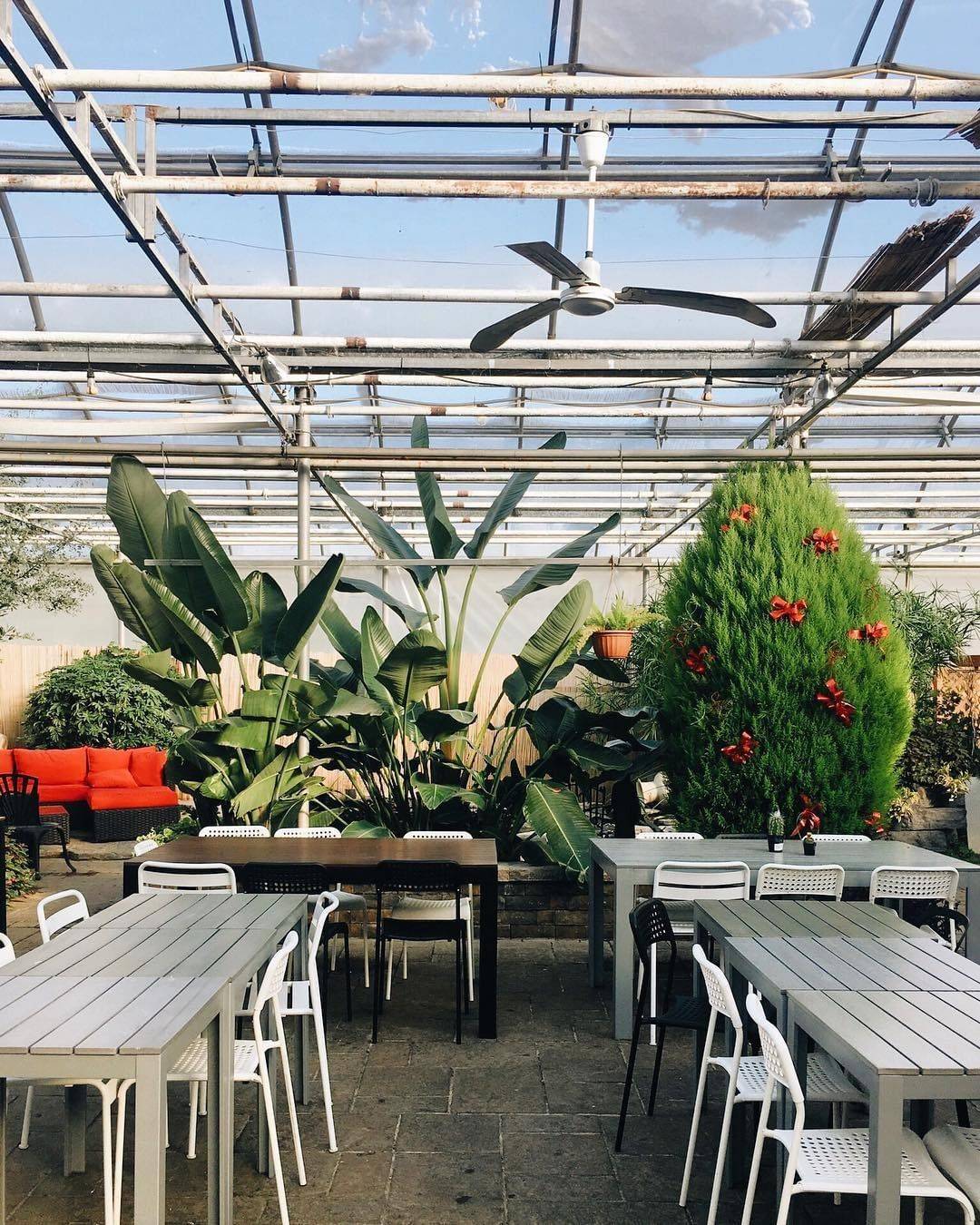 Rose Café | Th3rdwave