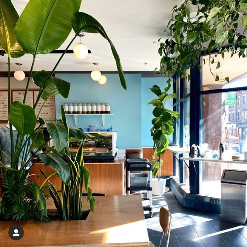 Agenda Cafe | Th3rdwave Toronto